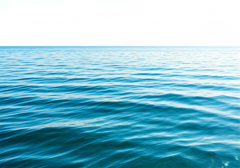 Définition de MER - Dictionnaire français Reverso