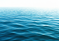 Définition de MER - Dictionnaire français Reverso