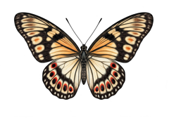 MIMING - Definition & Meaning - Reverso English Dictionary