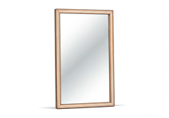 MIRRORING - Definition & Meaning - Reverso English Dictionary