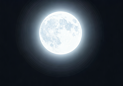 MOONLIGHT - Definition & Meaning - Reverso English Dictionary