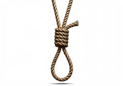 NOOSE - Definition & Meaning - Reverso English Dictionary