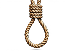 NOOSE - Definition & Meaning - Reverso English Dictionary