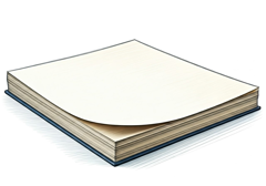 PAD - Definition & Meaning - Reverso English Dictionary