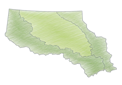 PANHANDLING - Definition & Meaning - Reverso English Dictionary