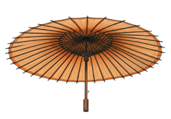 PARASOL - Definition & Meaning - Reverso English Dictionary