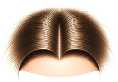 PARTED - Definition & Meaning - Reverso English Dictionary