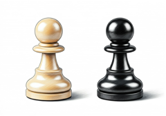 PAWN - Definition & Meaning - Reverso English Dictionary