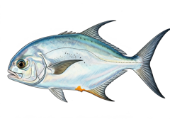 PERMITTED - Definition & Meaning - Reverso English Dictionary