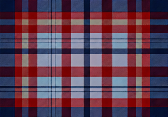 PLAID - Definition & Meaning - Reverso English Dictionary