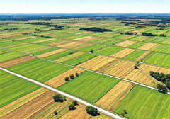 PLAT - Definition & Meaning - Reverso English Dictionary