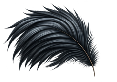 PLUME - Definition & Meaning - Reverso English Dictionary