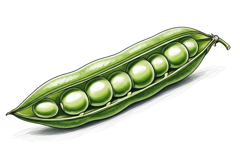 POD - Definition & Meaning - Reverso English Dictionary