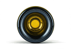 PUNT - Definition & Meaning - Reverso English Dictionary