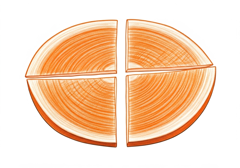 QUARTERED - Definition & Meaning - Reverso English Dictionary