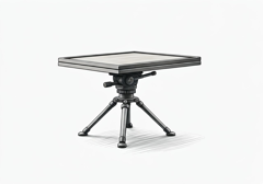 ROSTRUM - Definition & Meaning - Reverso English Dictionary