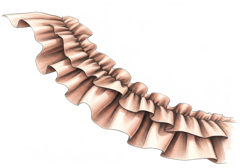 RUFFLE - Definition & Meaning - Reverso English Dictionary