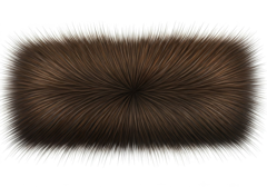 SABLE - Definition & Meaning - Reverso English Dictionary