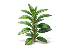 SAVORY - Definition & Meaning - Reverso English Dictionary