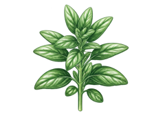 SAVOURY - Definition & Meaning - Reverso English Dictionary