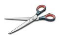 SCISSORS translation in French | English-French Dictionary | Reverso