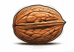 SHELLING - Definition & Meaning - Reverso English Dictionary