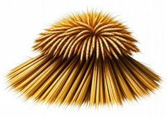 SHOOK - Definition & Meaning - Reverso English Dictionary