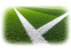 SIDELINE - Definition & Meaning - Reverso English Dictionary