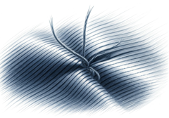 SNAGGING - Definition & Meaning - Reverso English Dictionary