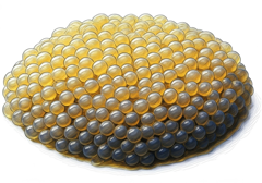 SPAWN - Definition & Meaning - Reverso English Dictionary