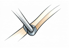 SPLICE - Definition & Meaning - Reverso English Dictionary