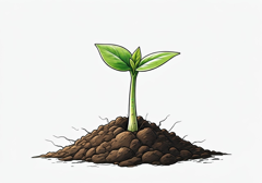 SPROUT - Definition & Meaning - Reverso English Dictionary