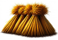 STOOK - Definition & Meaning - Reverso English Dictionary