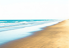 STRANDING - Definition & Meaning - Reverso English Dictionary