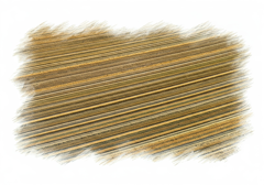 SWATH - Definition & Meaning - Reverso English Dictionary