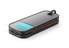 TAG - Definition & Meaning - Reverso English Dictionary