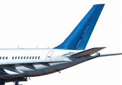 TAIL - Definition & Meaning - Reverso English Dictionary