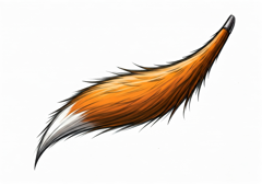 TAIL - Definition & Meaning - Reverso English Dictionary