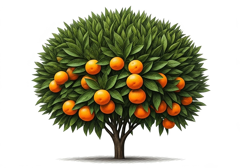 TANGERINE - Definition & Meaning - Reverso English Dictionary