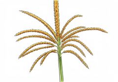 TASSEL - Definition & Meaning - Reverso English Dictionary