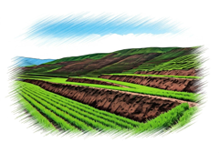 TERRACED - Definition & Meaning - Reverso English Dictionary