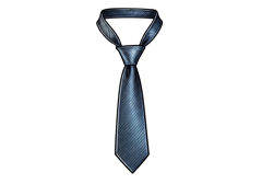 ransack homes - Translation into Portuguese - examples English ...