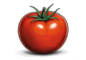 TOMATO translation in French | English-French Dictionary | Reverso