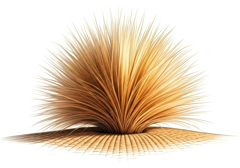 TUFT - Definition & Meaning - Reverso English Dictionary