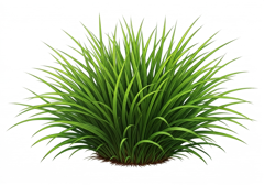 Définition de VERT - Dictionnaire français Reverso