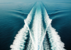 WAKE - Definition & Meaning - Reverso English Dictionary