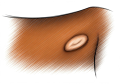 WARBLING - Definition & Meaning - Reverso English Dictionary