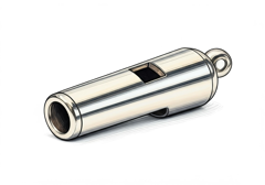 WHISTLE - Definition & Meaning - Reverso English Dictionary