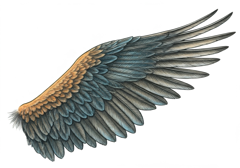 WINGED - Definition & Meaning - Reverso English Dictionary